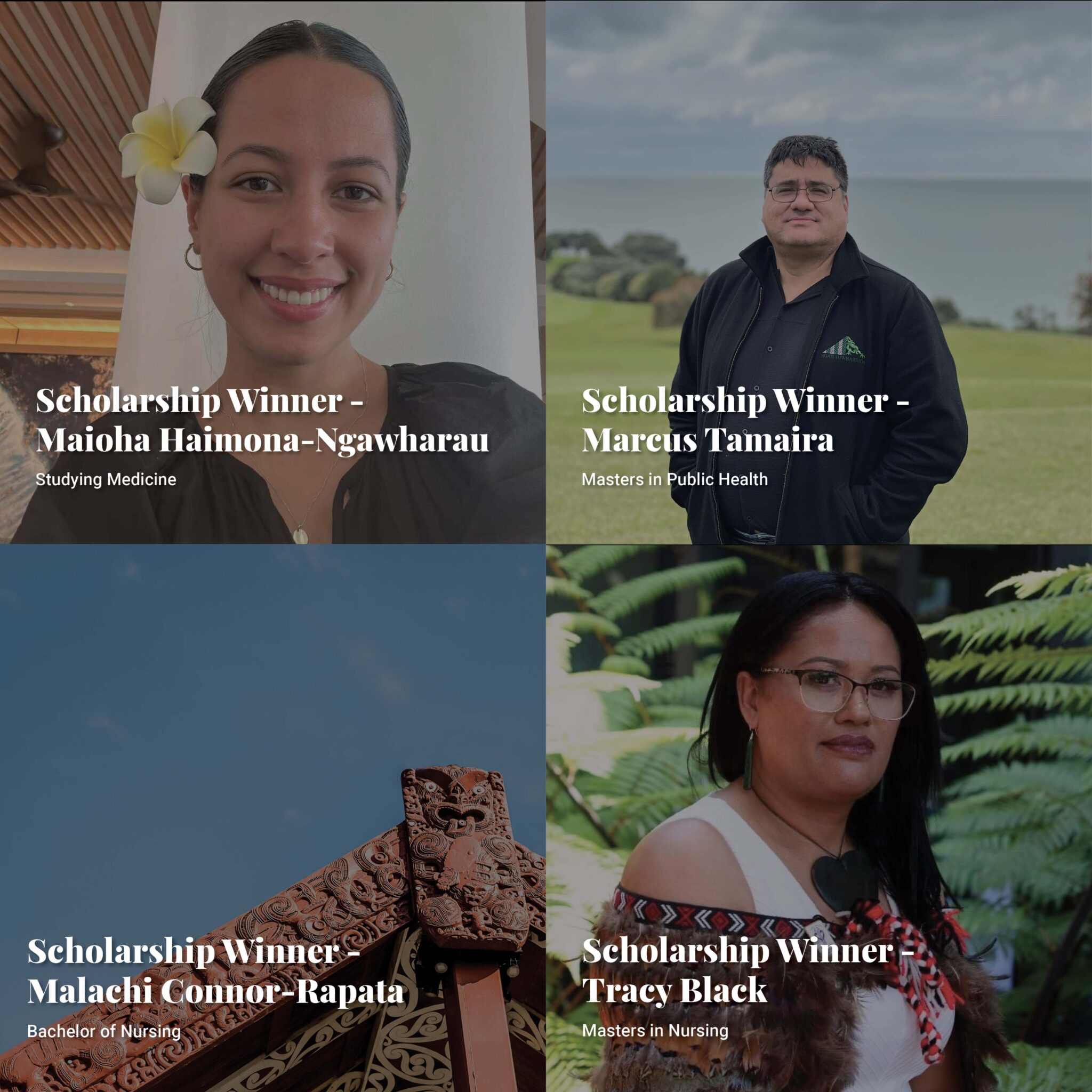Supporting Māori leadership in healthcare: Announcing the 2024 ...